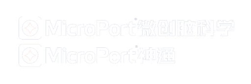 Investor Relations | MicroPort NeuroTech